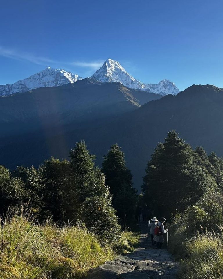 Eco Friendly Trekking in Nepal: How to Leave No Trace | Incredible ...
